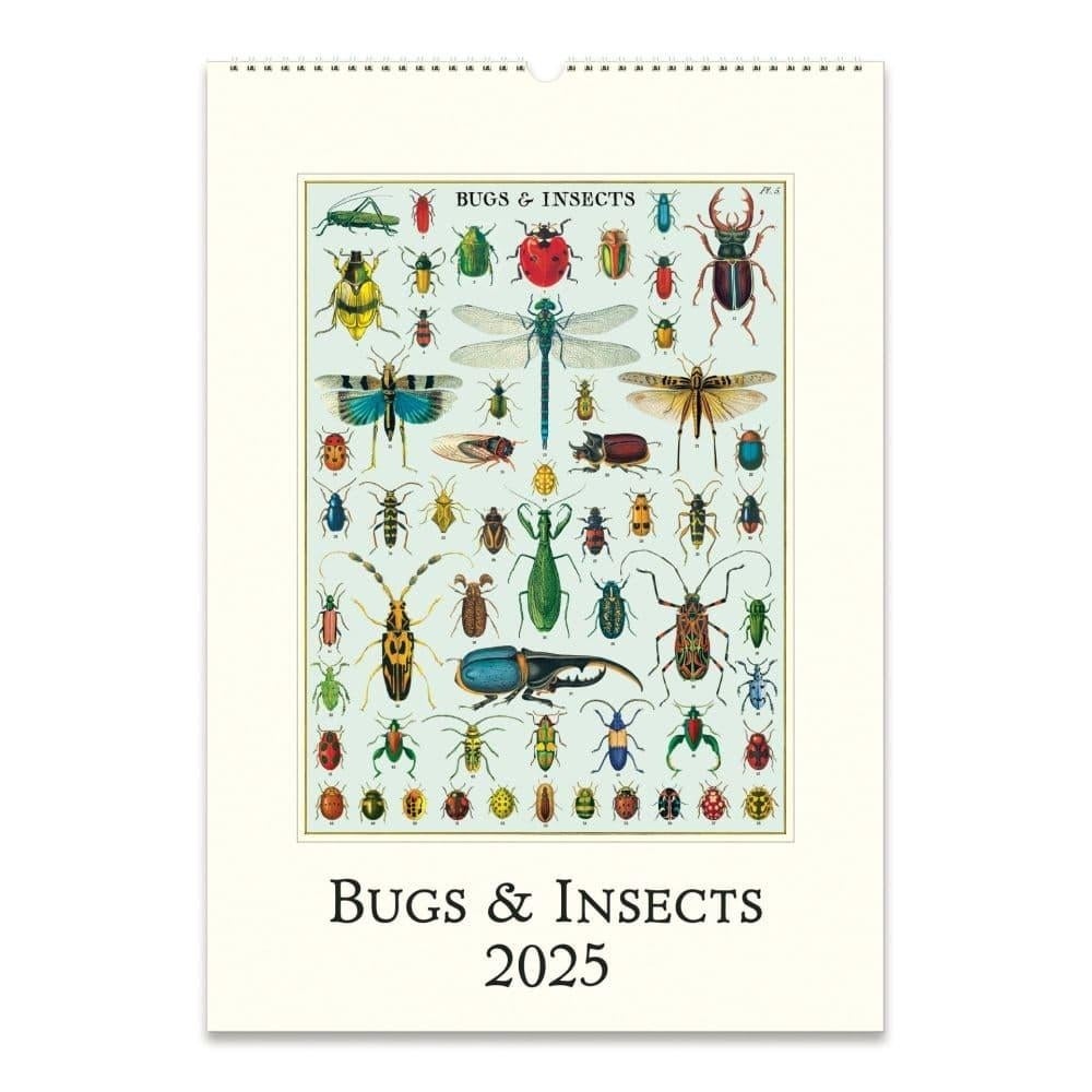 Bugs and Insects 2025 Wall Calendar | My Site